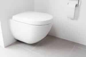 What Is A Tankless Toilet? | Pros, Cons & Considerations