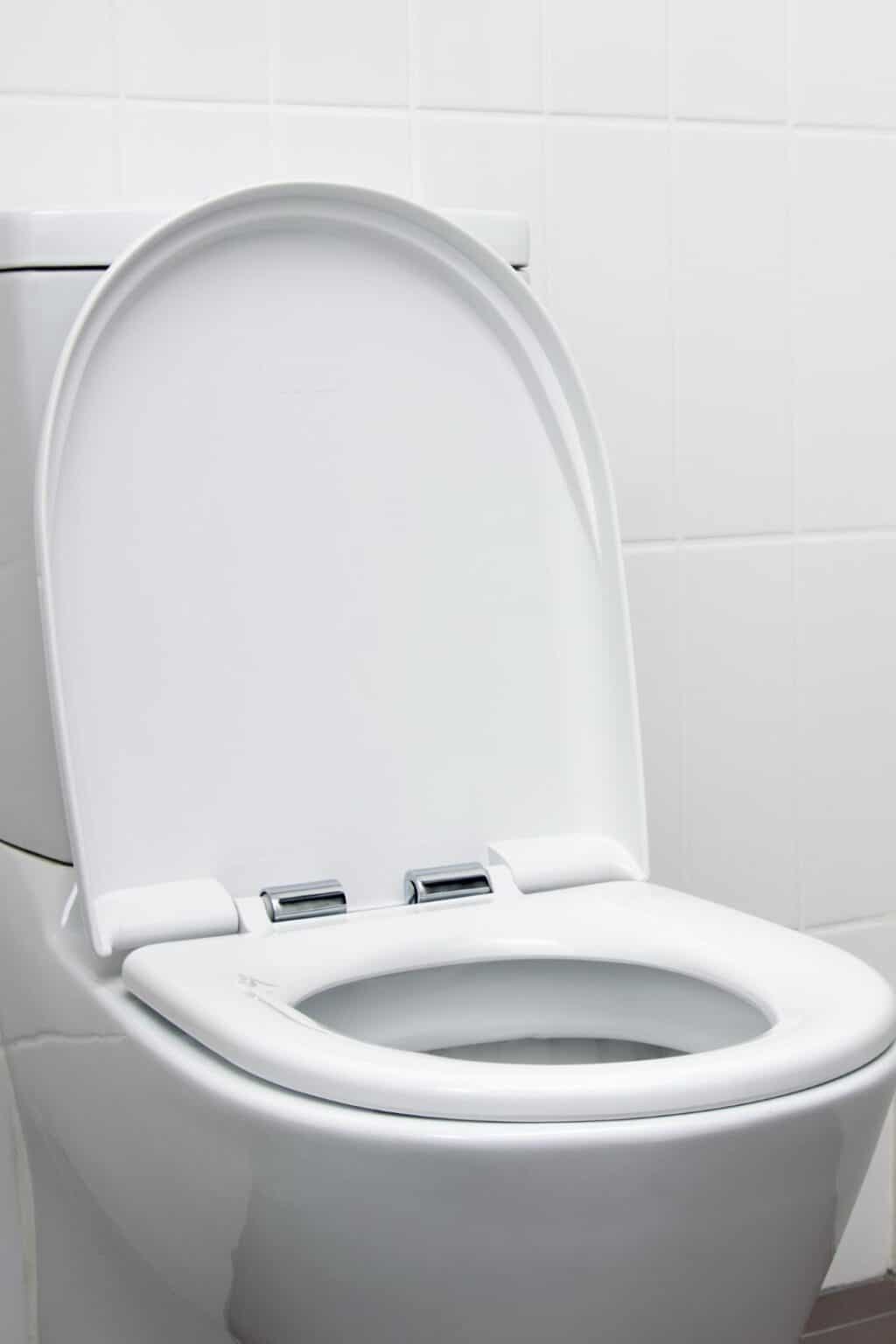 What Is A Short Projection Toilet? | And Should You Get One?